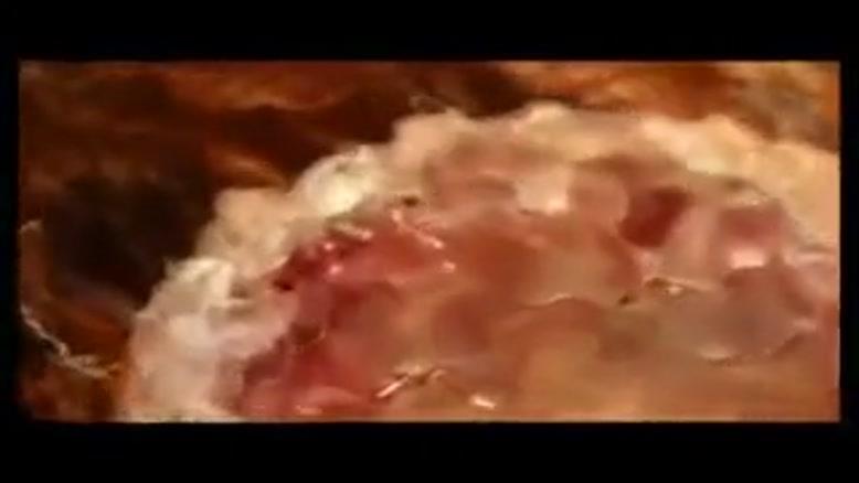 Mp4.ir | چگونگی تشکیل انسان از دقایق اول تا 9 ماه بعد...!